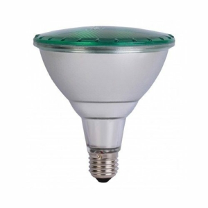PAR38 LED LAMPS | BEST PRICES | LITE-GLO